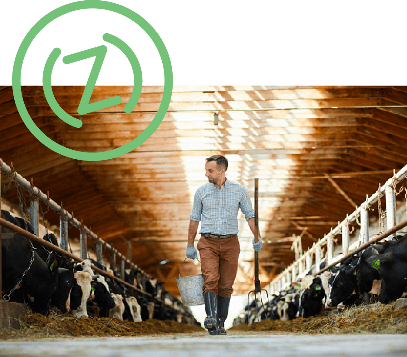 ZELP - Reduce methane emissions while improving animal welfare