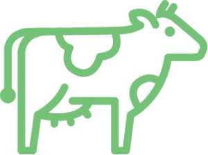 ZELP - Reduce methane emissions while improving animal welfare