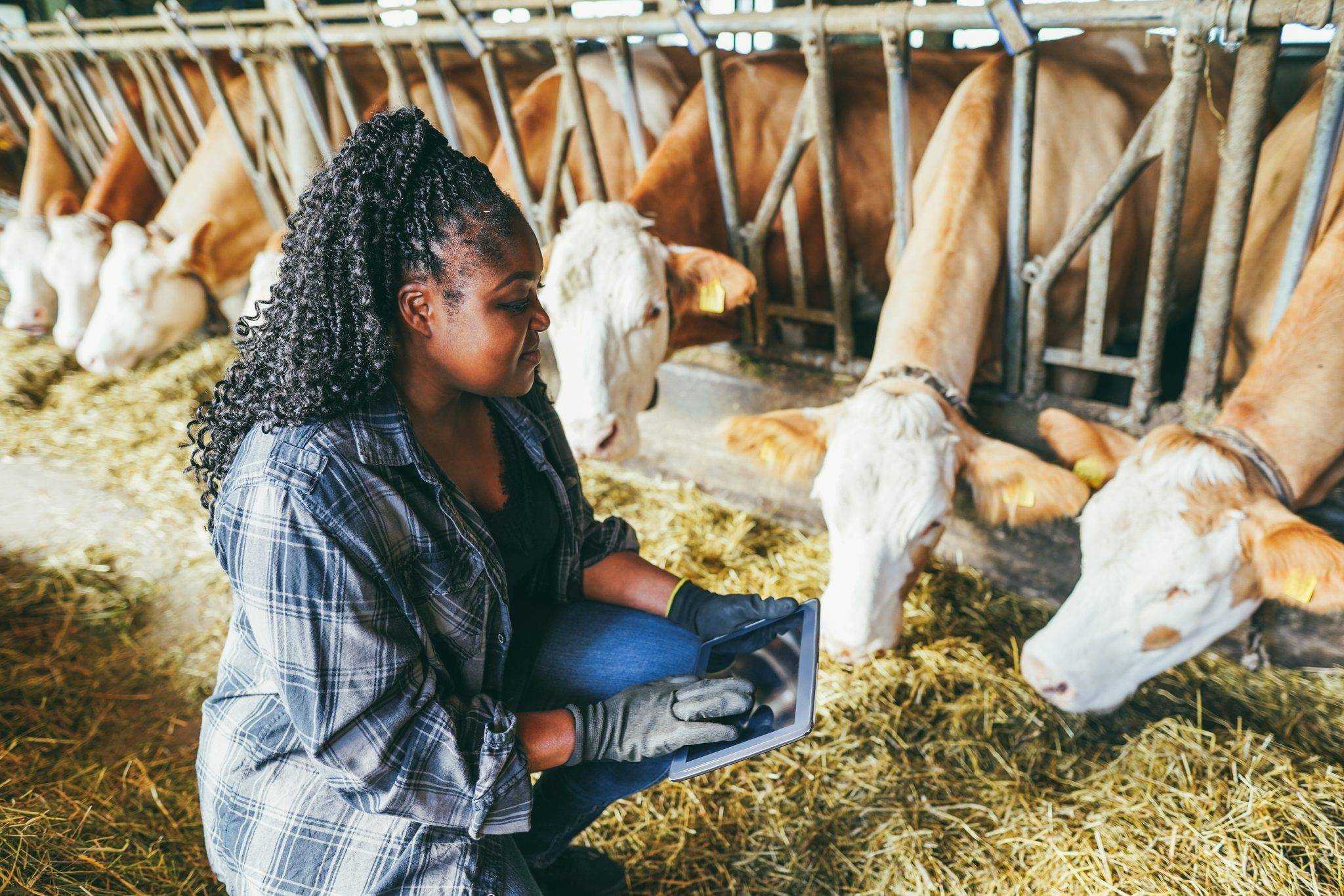 ZELP - Creating a sustainable future for agriculture