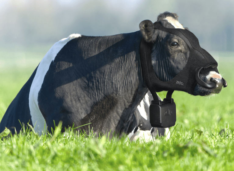 ZELP - Creating a sustainable future for agriculture