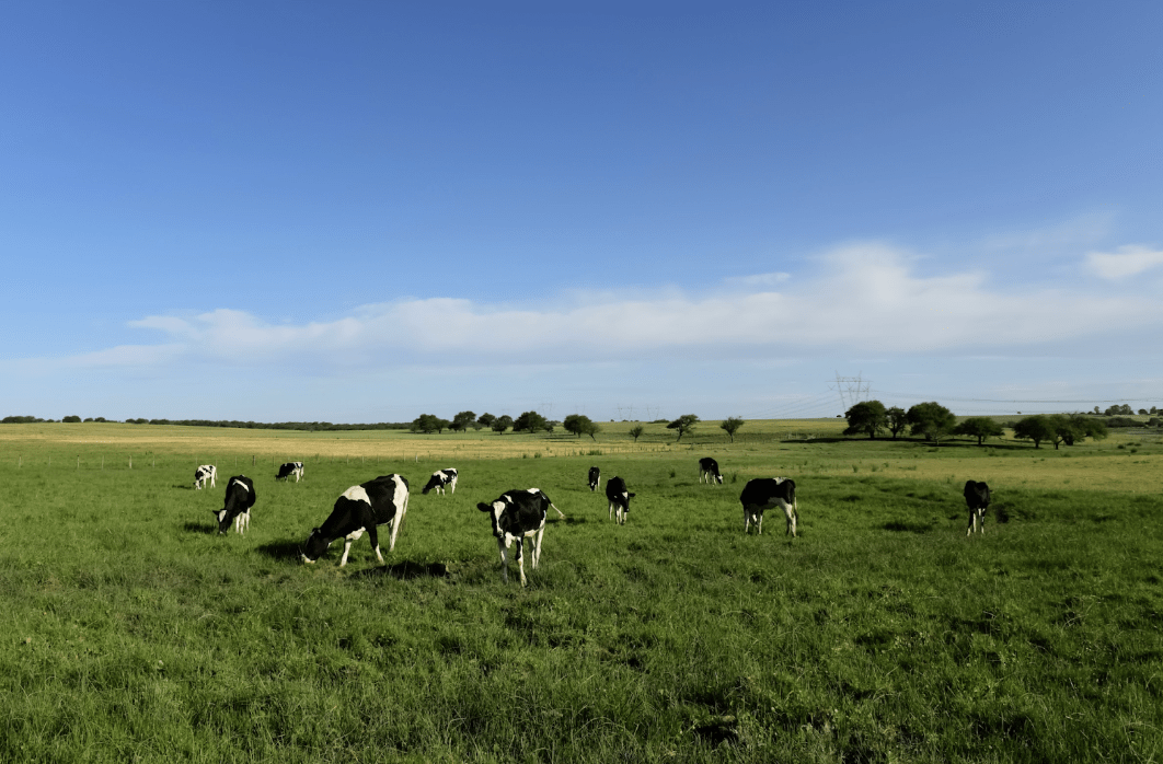 ZELP - Creating a sustainable future for agriculture